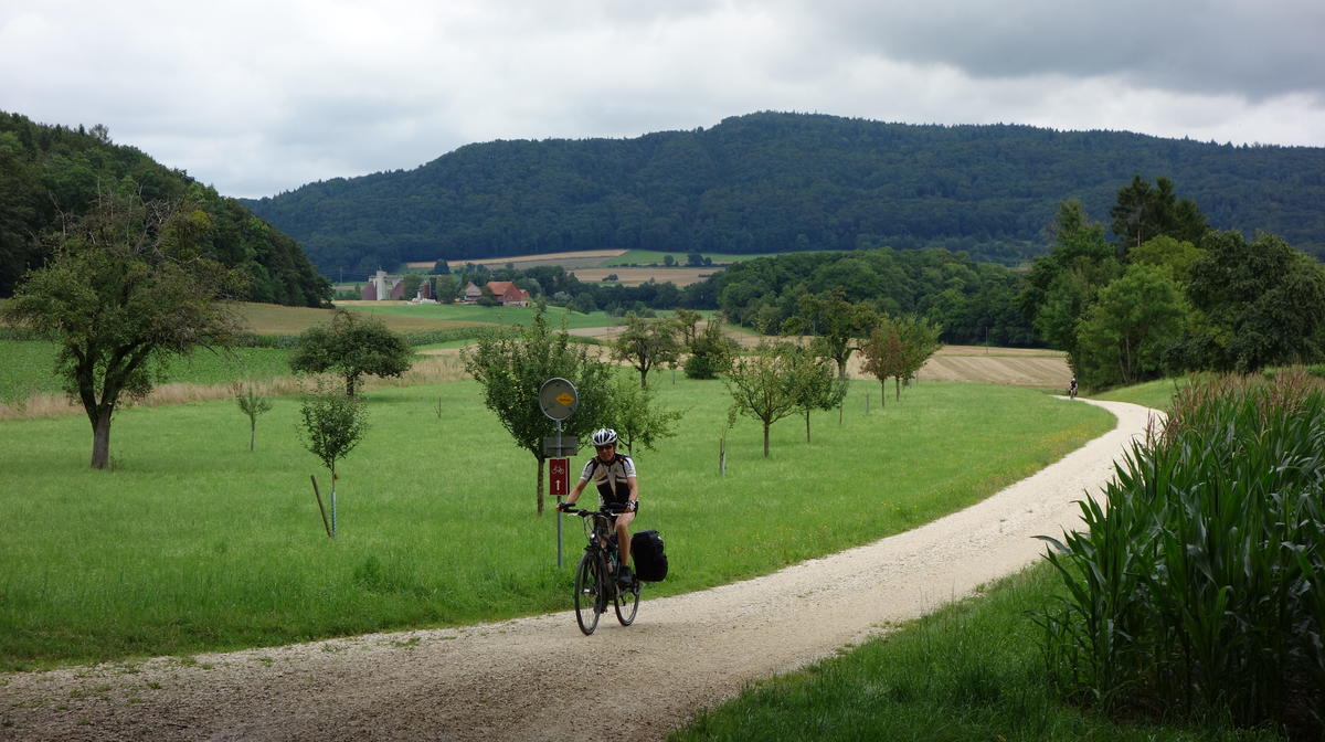 River Rhine – Switzerland | Full route guide | cycle.travel