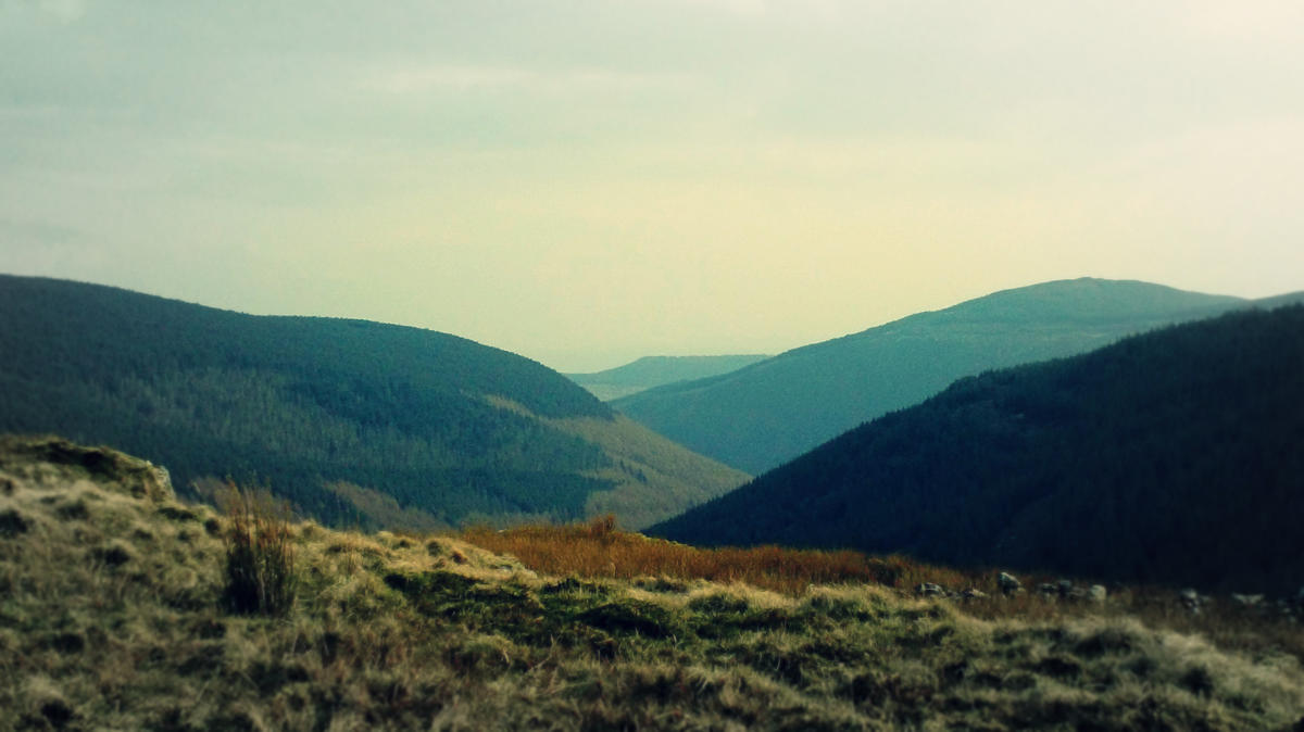 Lon Las Cymru | cycle.travel